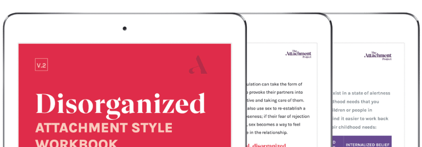 Disorganized Attachment Workbook PDF - Attachment Project