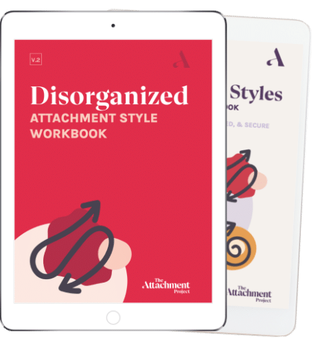 Disorganized Attachment Workbook PDF - Attachment Project