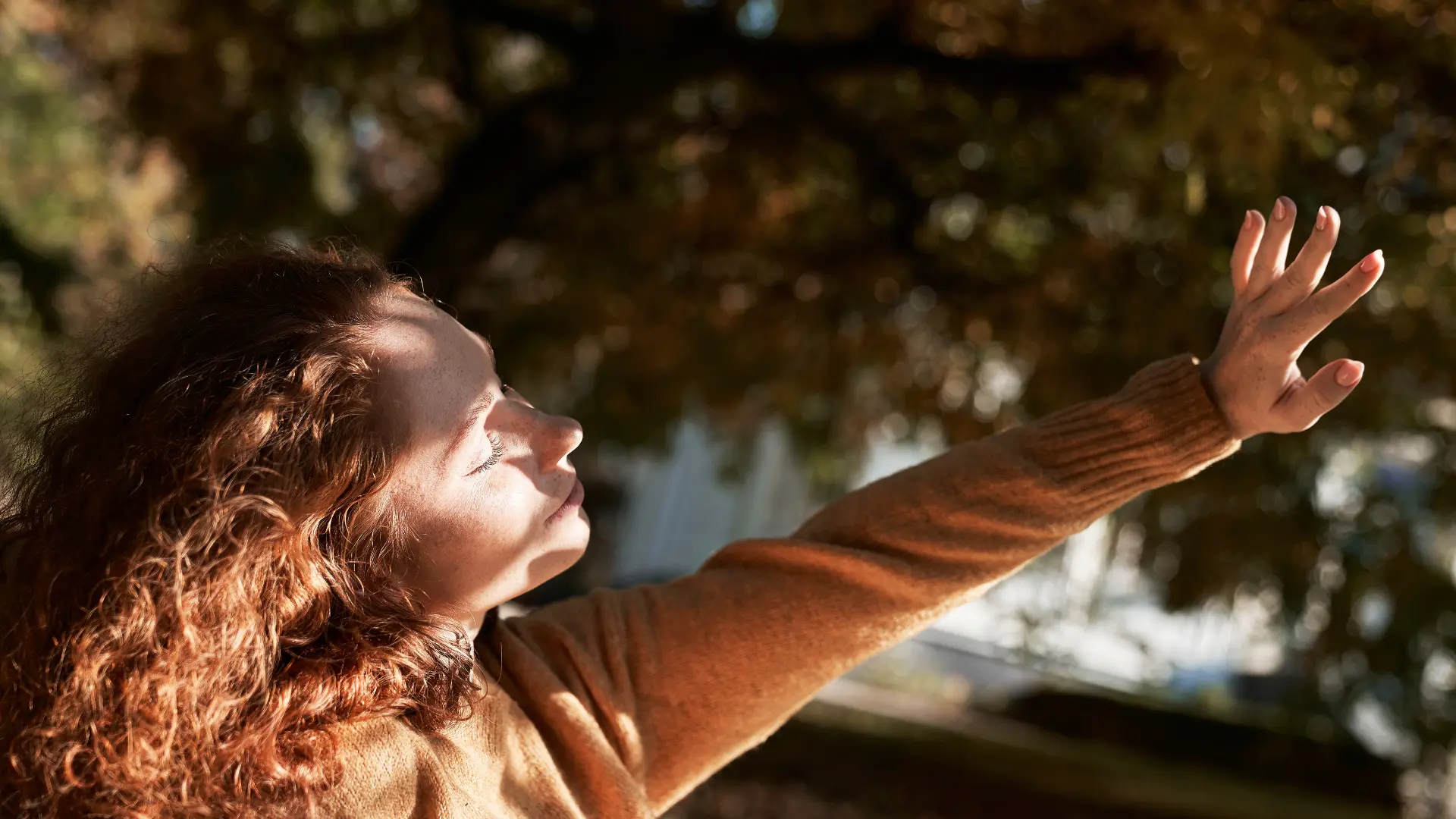 Sensation Seeking in Relationships: An Attachment Perspective